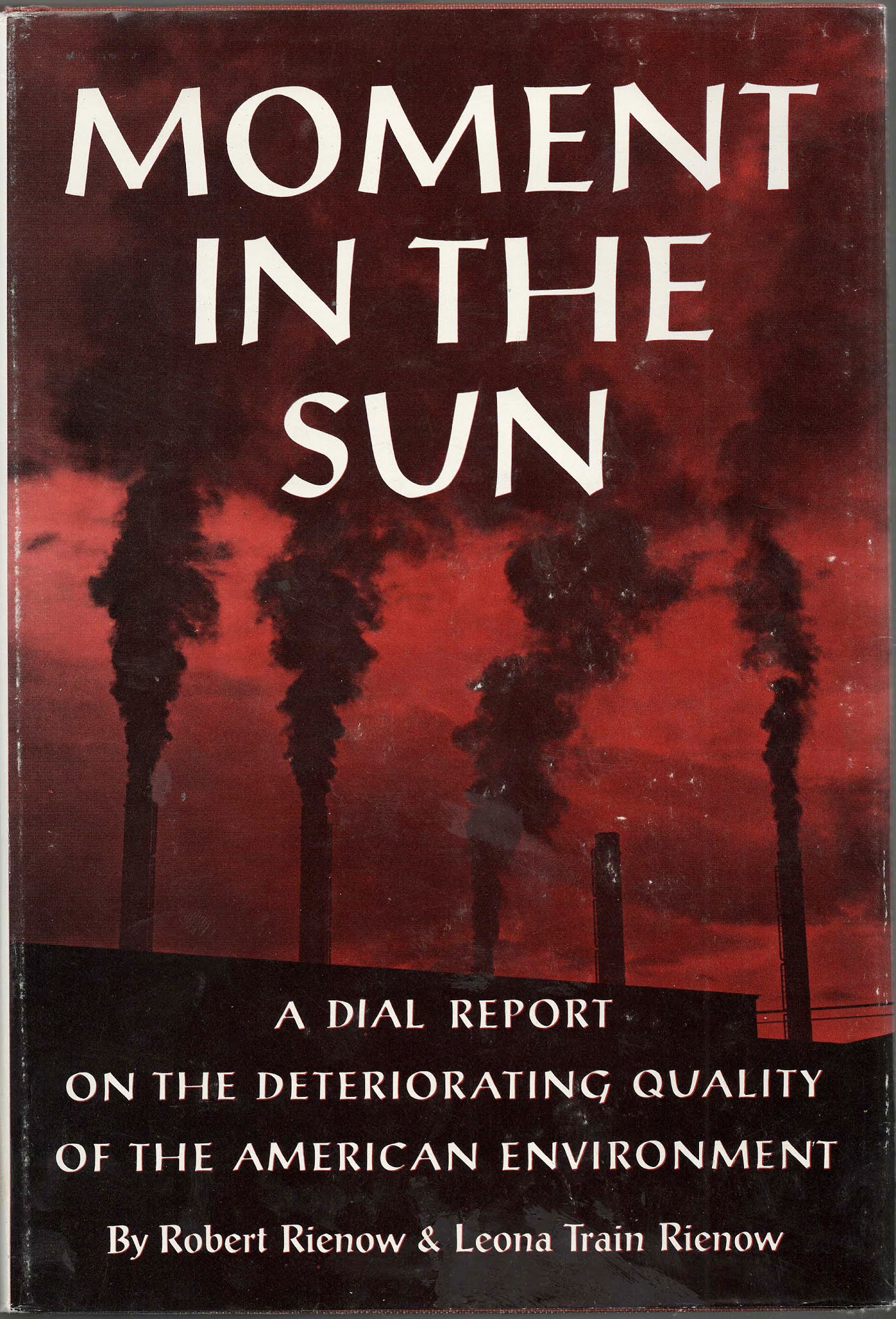 Papergreat: Book cover: "Moment in the Sun"