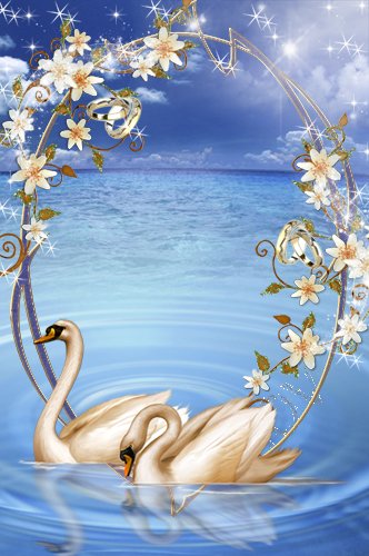 Swans Photo Frame - Zisya Art