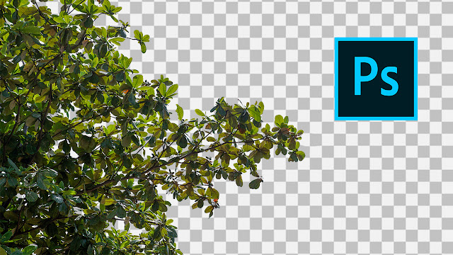 How To Cut Out Twigs And Leaves In Photoshop Zanuara How To Cut Out Twigs And Leaves In Photoshop Zanuara