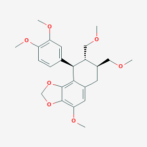 Bhumyamalaki (Phyllanthus niruri, Phyllanthus amarus)