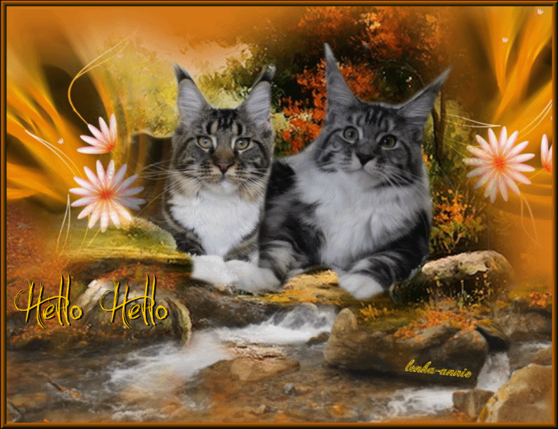 Vítejte u Lenky: Valencia&Vlada