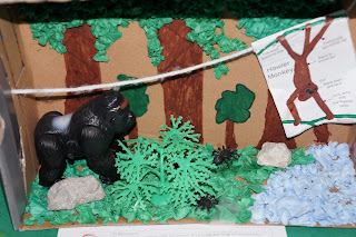 Smartsy and Artsy: Rainforest Unit