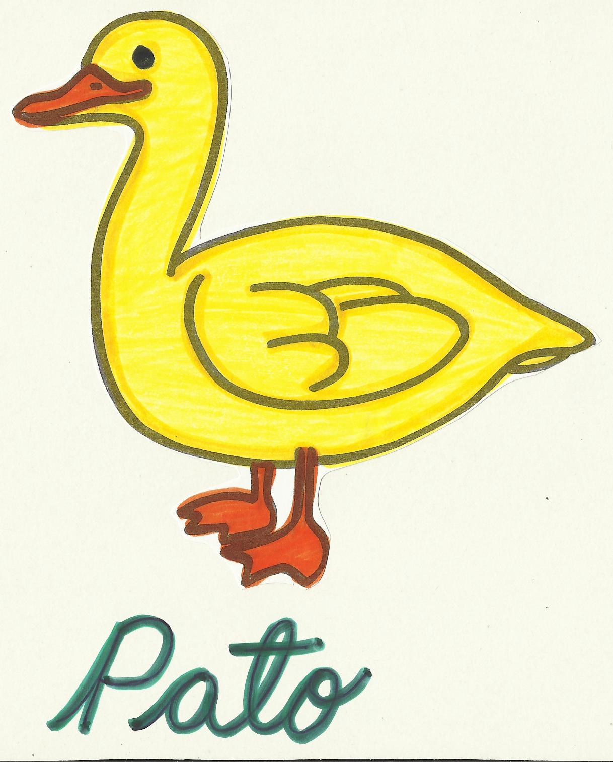 ARTE, FOTOS Y DIBUJOS: DIBUJOS GRATIS DE LA LETRA P PARA IMPRIMIR