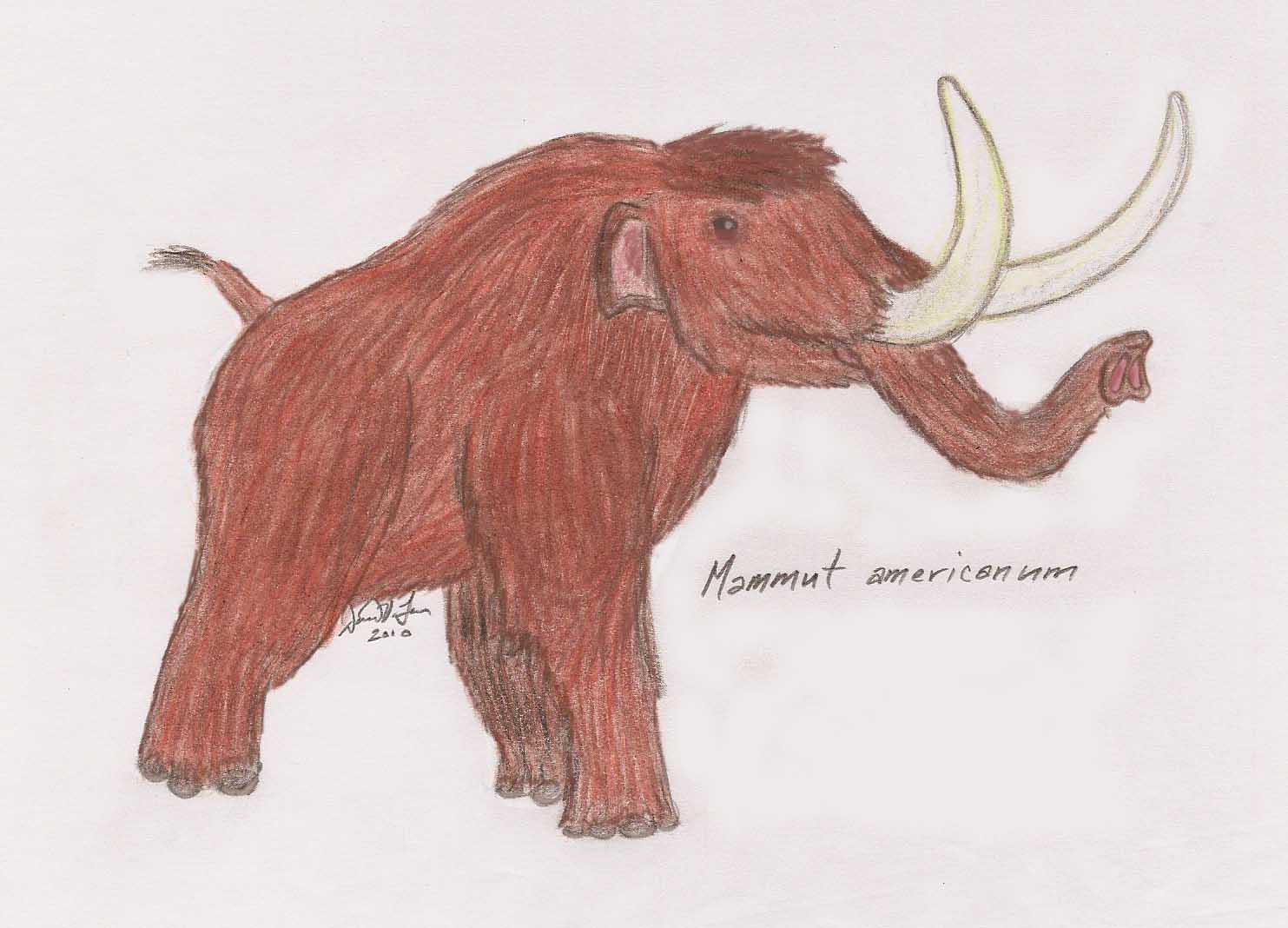 ART Evolved: Life's Time Capsule: The Elephant Gallery