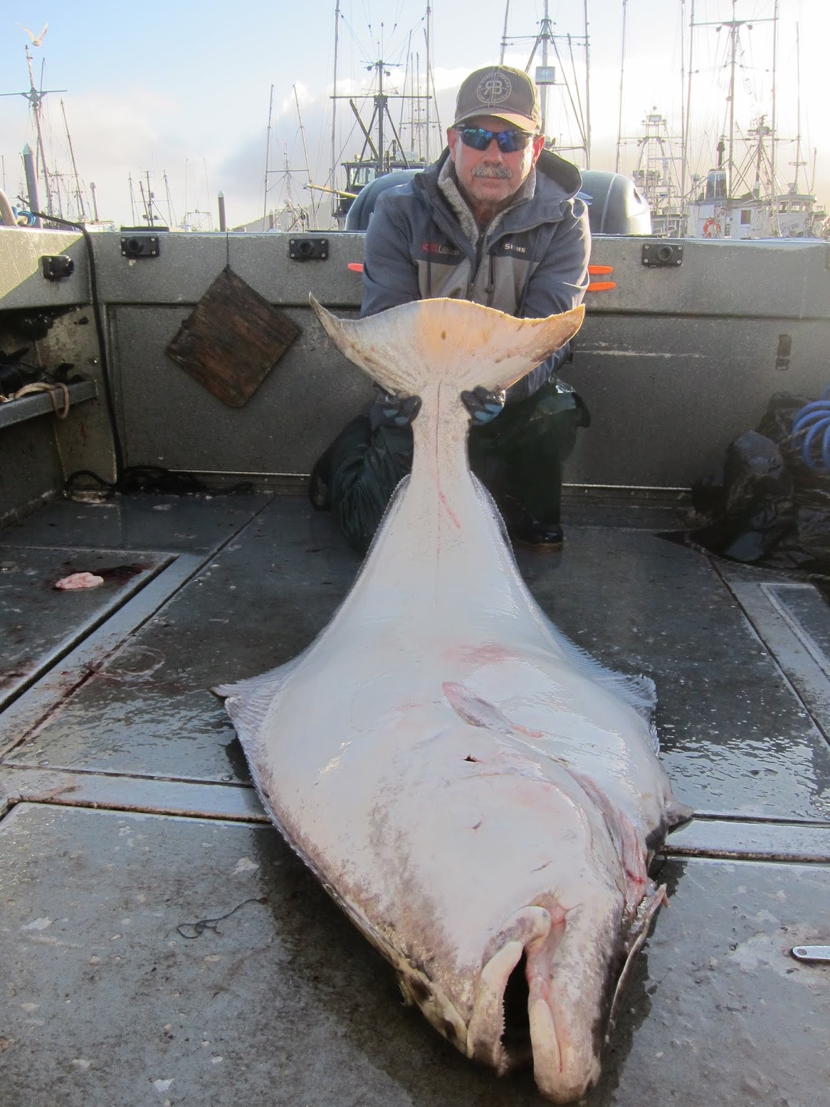 Todds Extreme Fishing: Neah bay monster halibut, monster lingcod, and ...