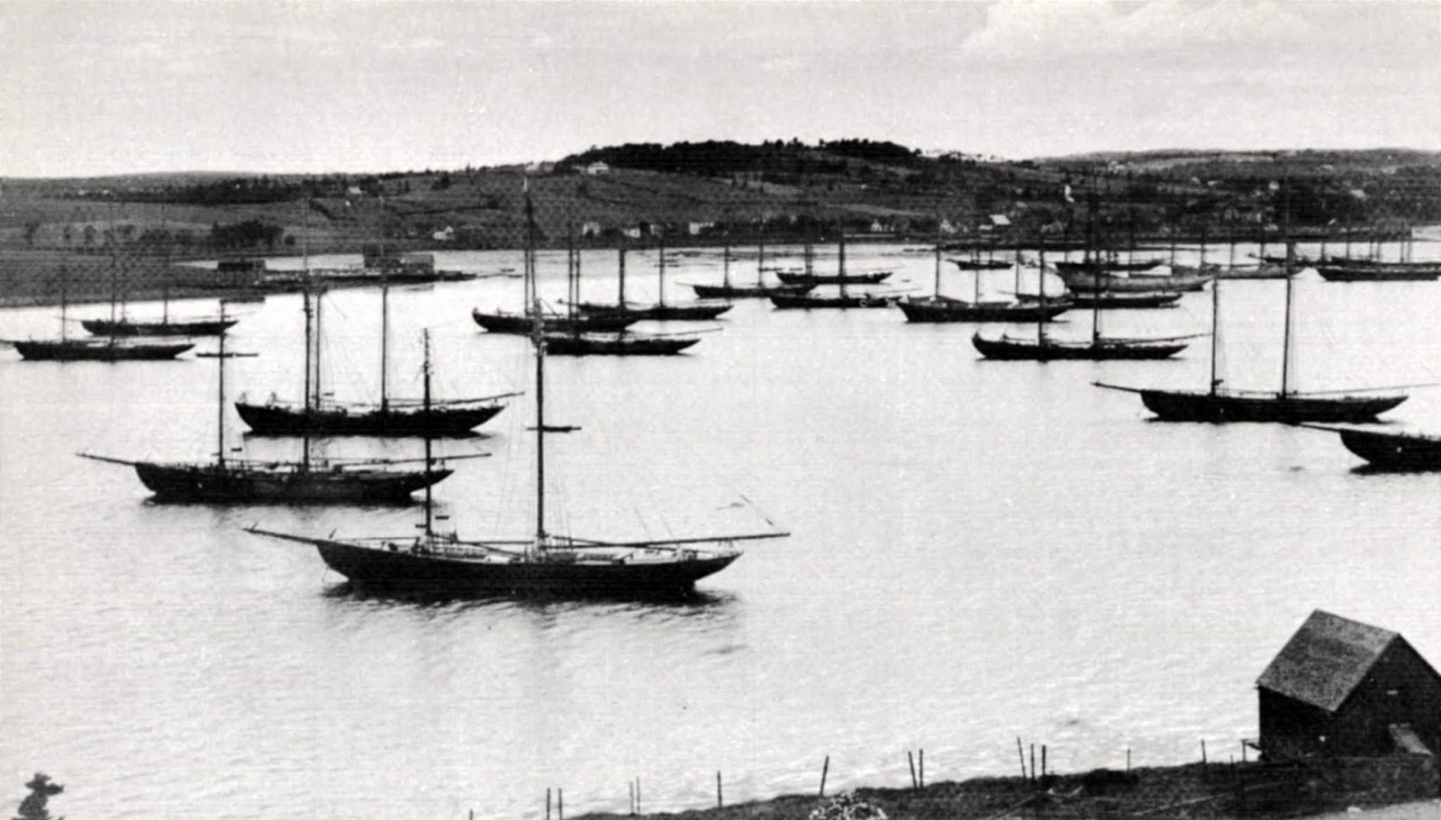 Progress is fine, but it's gone on for too long.: Schooners in ...