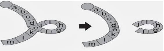 MUTASI KROMOSOM DAN MACAM-MACAM PENYEBAB MUTASI | KELAS XII – Biologi ...