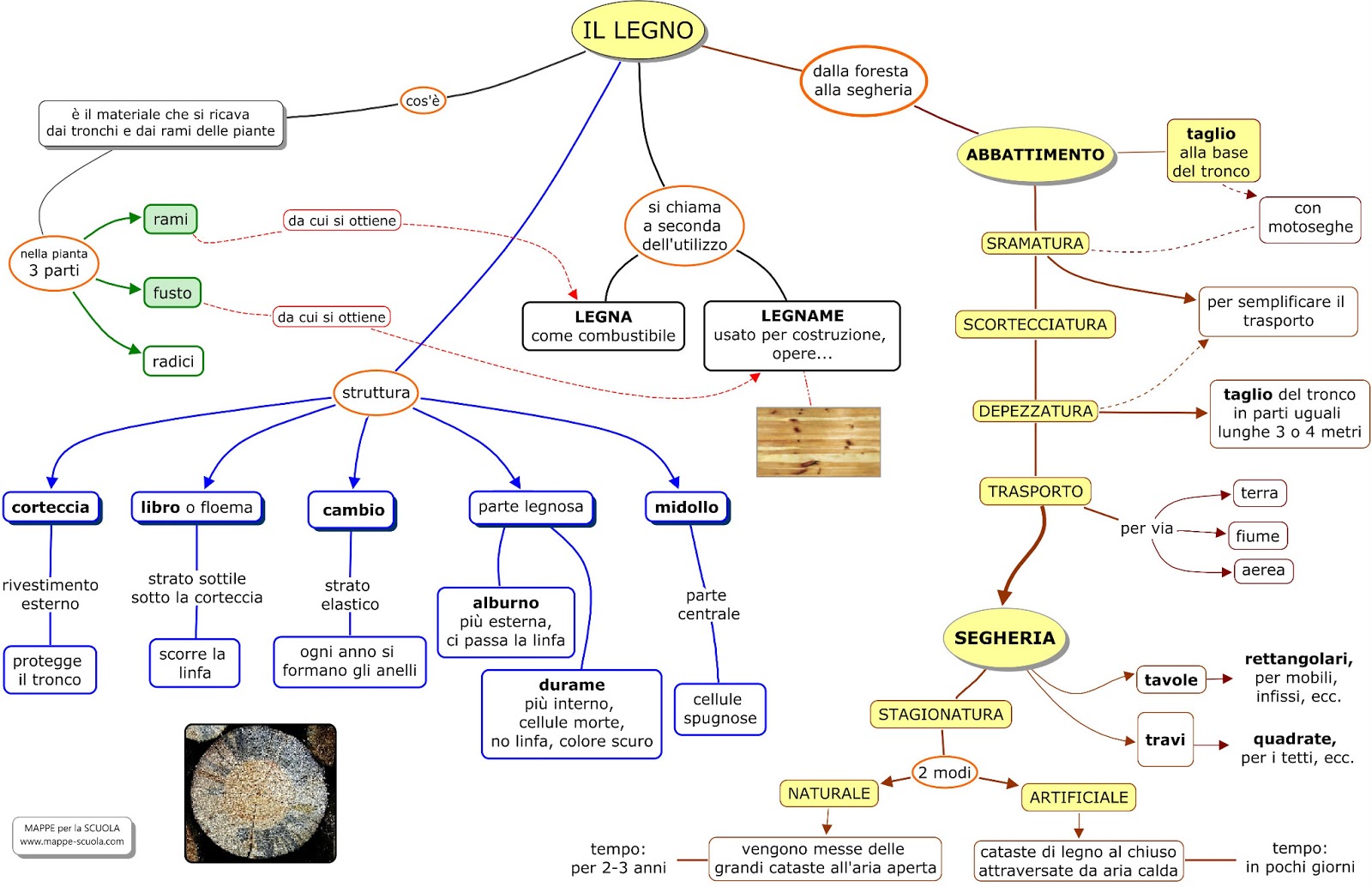 MAPPE per la SCUOLA: IL LEGNO, mappa concettuale