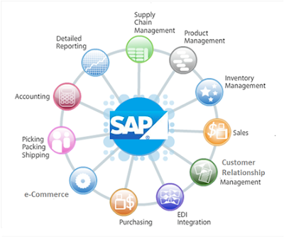 Why SAP training is important