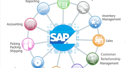 Why SAP training is important