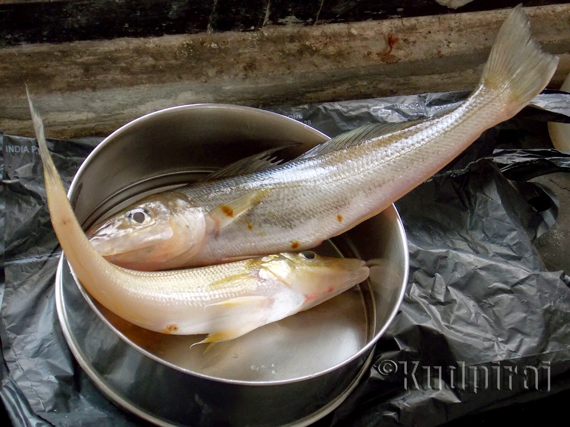 Kudpiraj's Garam Tawa: Kaane Fish Green Masala Fried