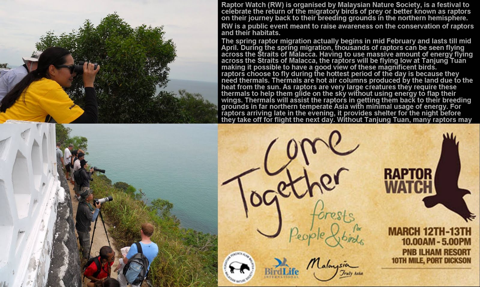 Dr Mat: Raptor Watch 12&13 March 2011 Tanjung Tuan, Melaka.