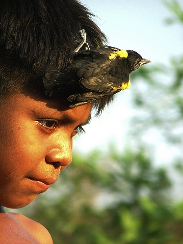 White Wolf : 20 Amazing Pictures Of Rainforest People With Animals