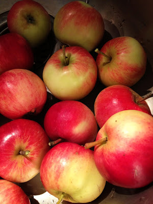 liisamarja's: not the kind of apple your doctor prescribed, my apple ...