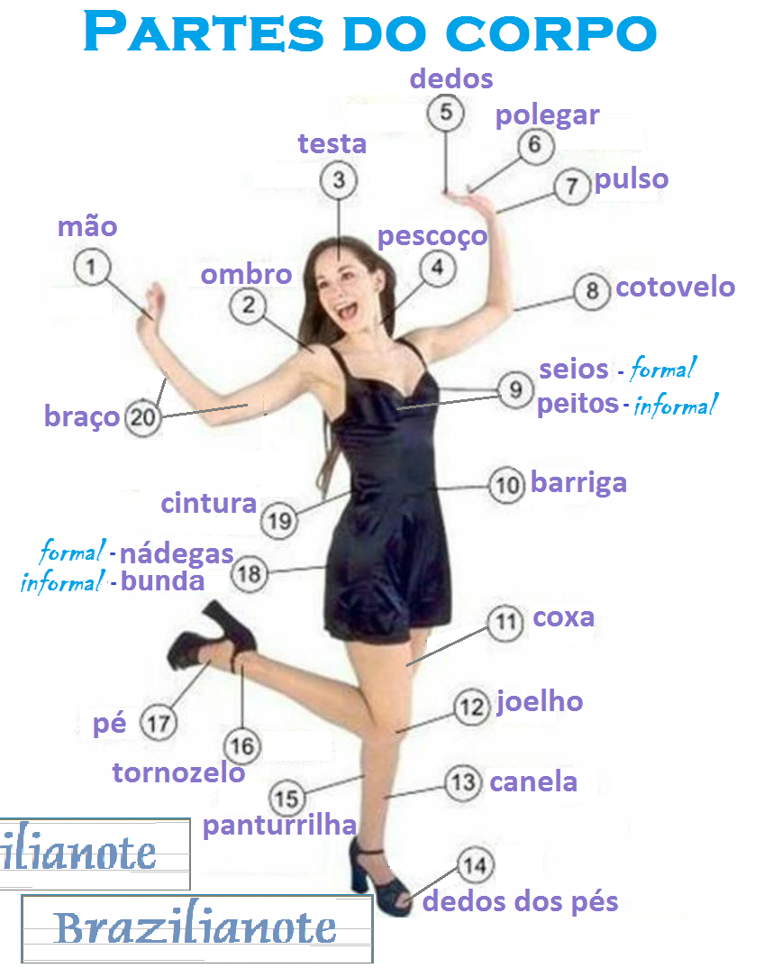 Partes do Corpo em Português