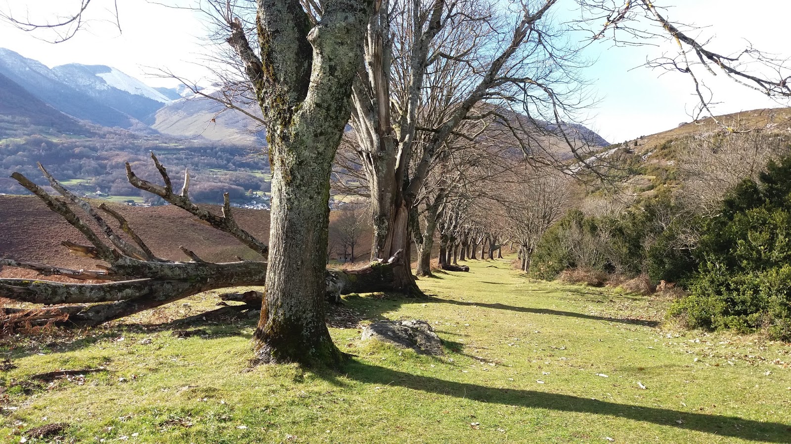 Res'Pyr'Rando: Béout depuis Ségus et sentier découverte