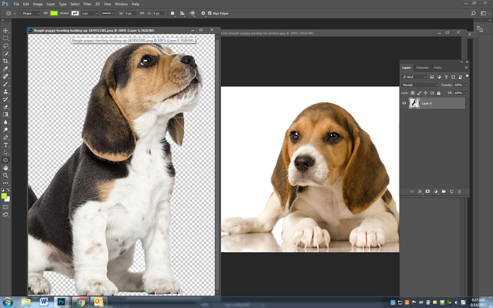 PNG Files and Layer Masks - CVHS Photography