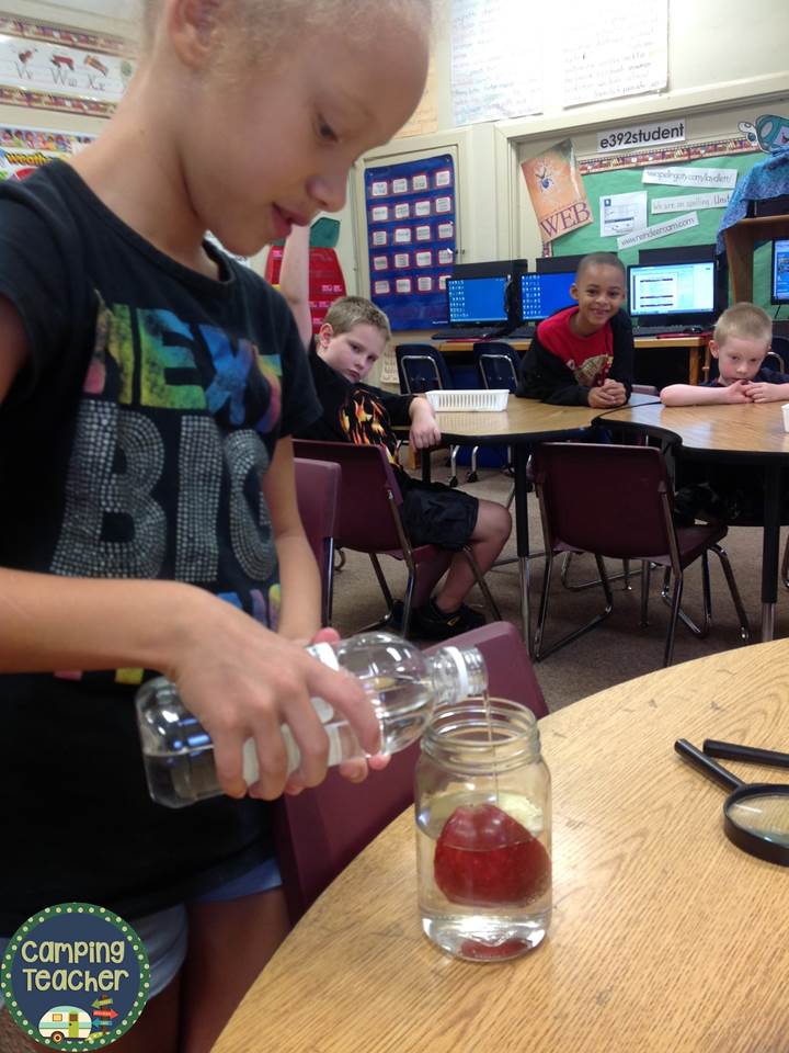 CampingTeacher: Apples Experiment