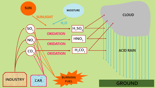 ELEMENTAL CHEMISTRY: ACID RAIN