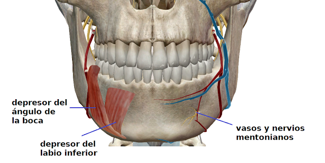 VAMO A ESTUDIAR MEDICINA: mayo 2016