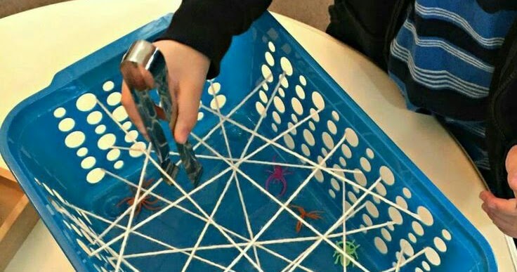 Contoh Projek Stem Di Sekolah - Madeleine Ball