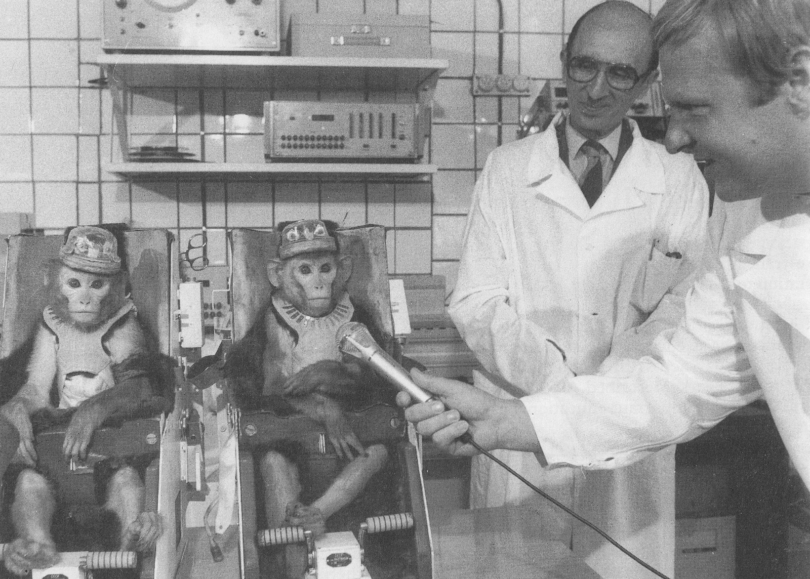 Progress is fine, but it's gone on for too long.: So, you think you can ...