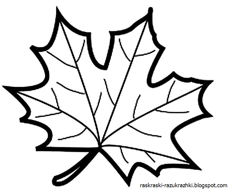 Лист Картинка Для Детей Раскраска