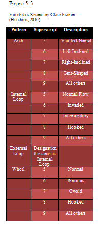 Every Contact Leaves a Trace: Vucetich Fingerprinting System