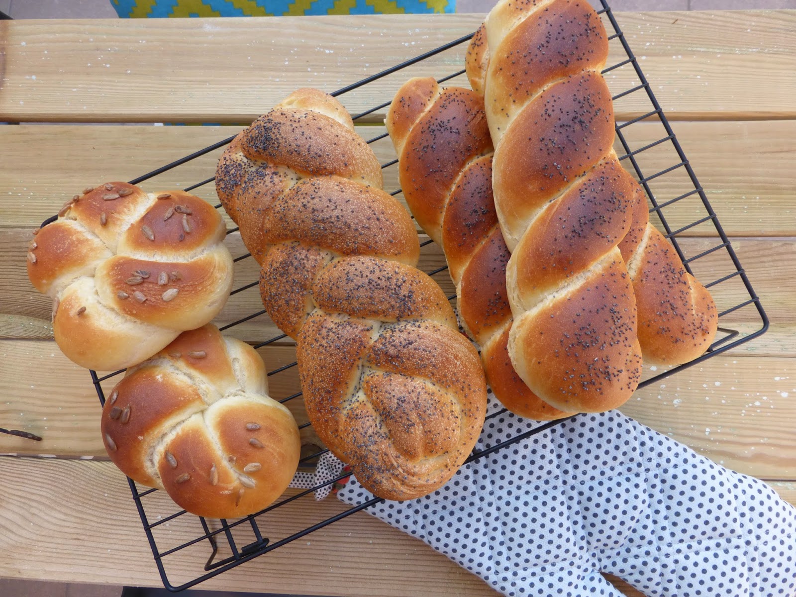 macadamia: Pan de viena