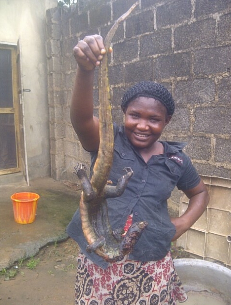Photos: Monitor Lizard Killed In Abeokuta Ogun State Turns Sallah Day ...