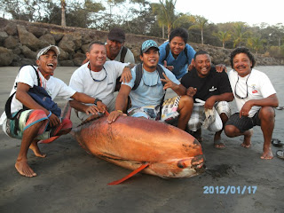 Big Fishes of the World: LOUVAR (Luvaras Imperialis)