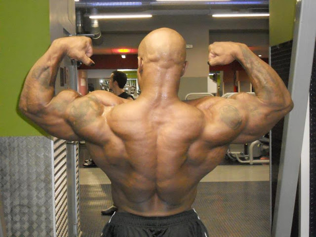 mr olympia 2012, mr olympia 2012 predictions, mr olympia 2012 winner ...