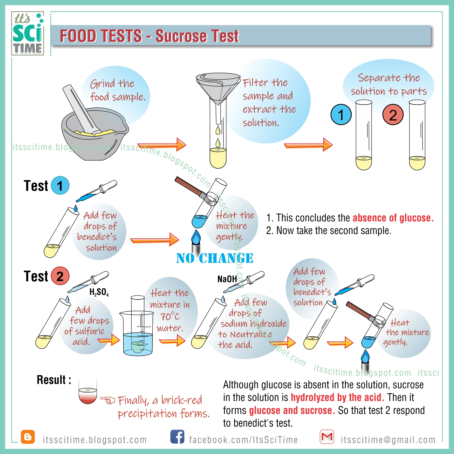 Its SciTime: Sucrose Test