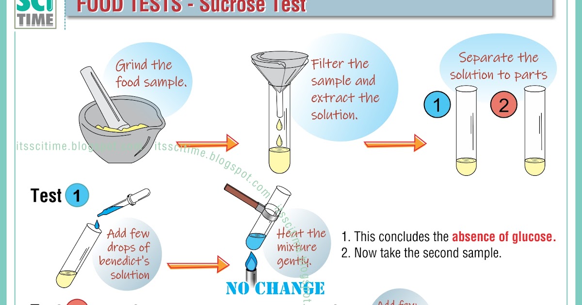 Its SciTime: Sucrose Test