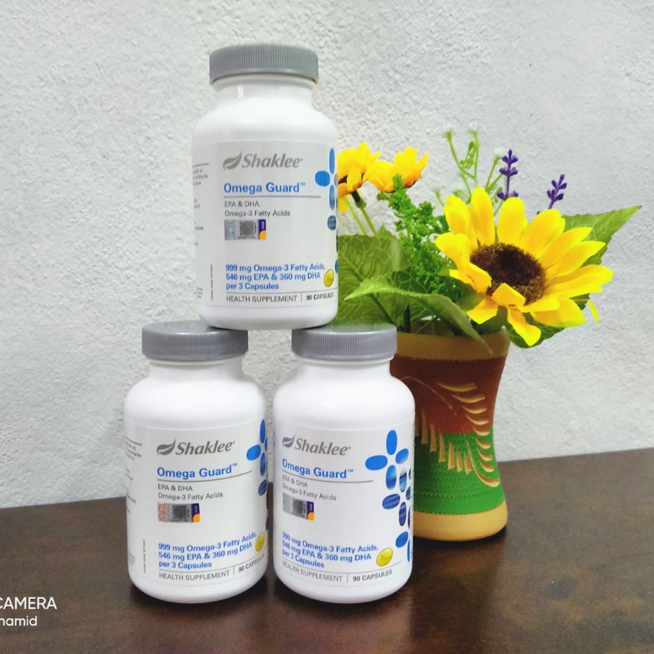 ASID LEMAK OMEGA 3: LEMAK BAIK UNTUK KESIHATAN (OMEGA GUARD SHAKLEE)