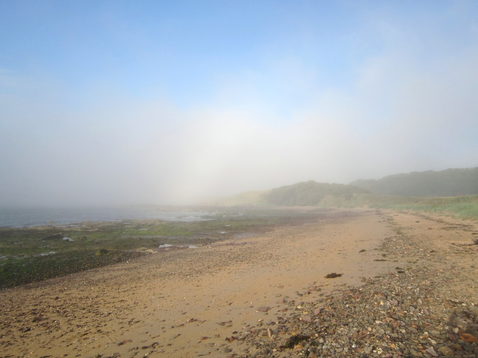 coastrider: Return of the Sea Haar