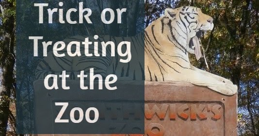 Trick or Treating at the Zoo; A Fun Day of Learning