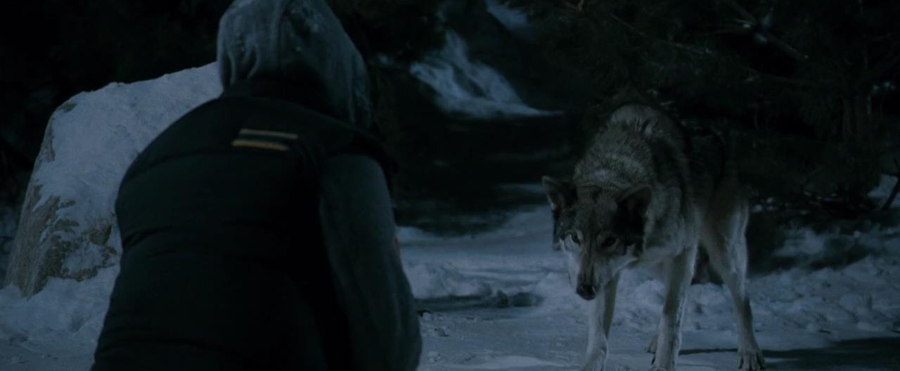 BliZZarraDas: Frozen (2010)