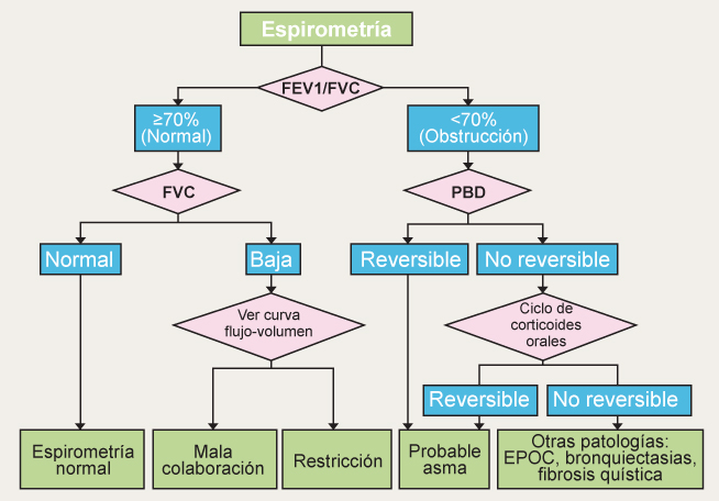 Medicina y Melodía: Guía rápida de interpretación de la espirometría