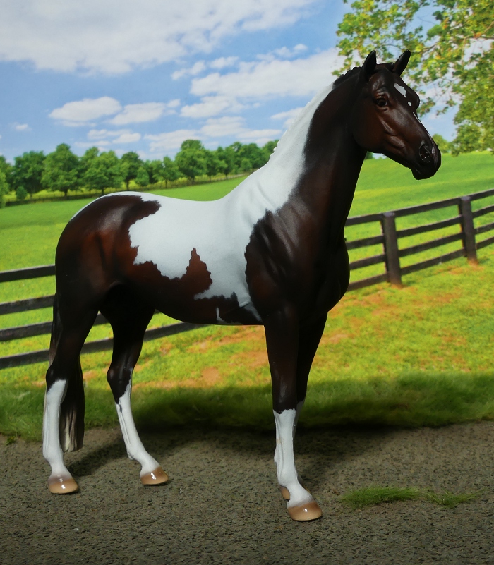 Harecroft Horses: WIA Eberl Lancelot and Sharif