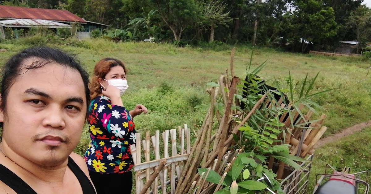 Vlog: Tree Planting in Our Mini-farm "JN FarmGarden" in Batangas ...