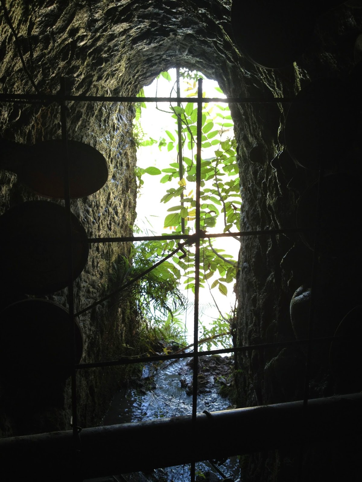 Taiwan Taichung Mission, 2013-16: 8-2-14 Bat Caves and Waterfalls!