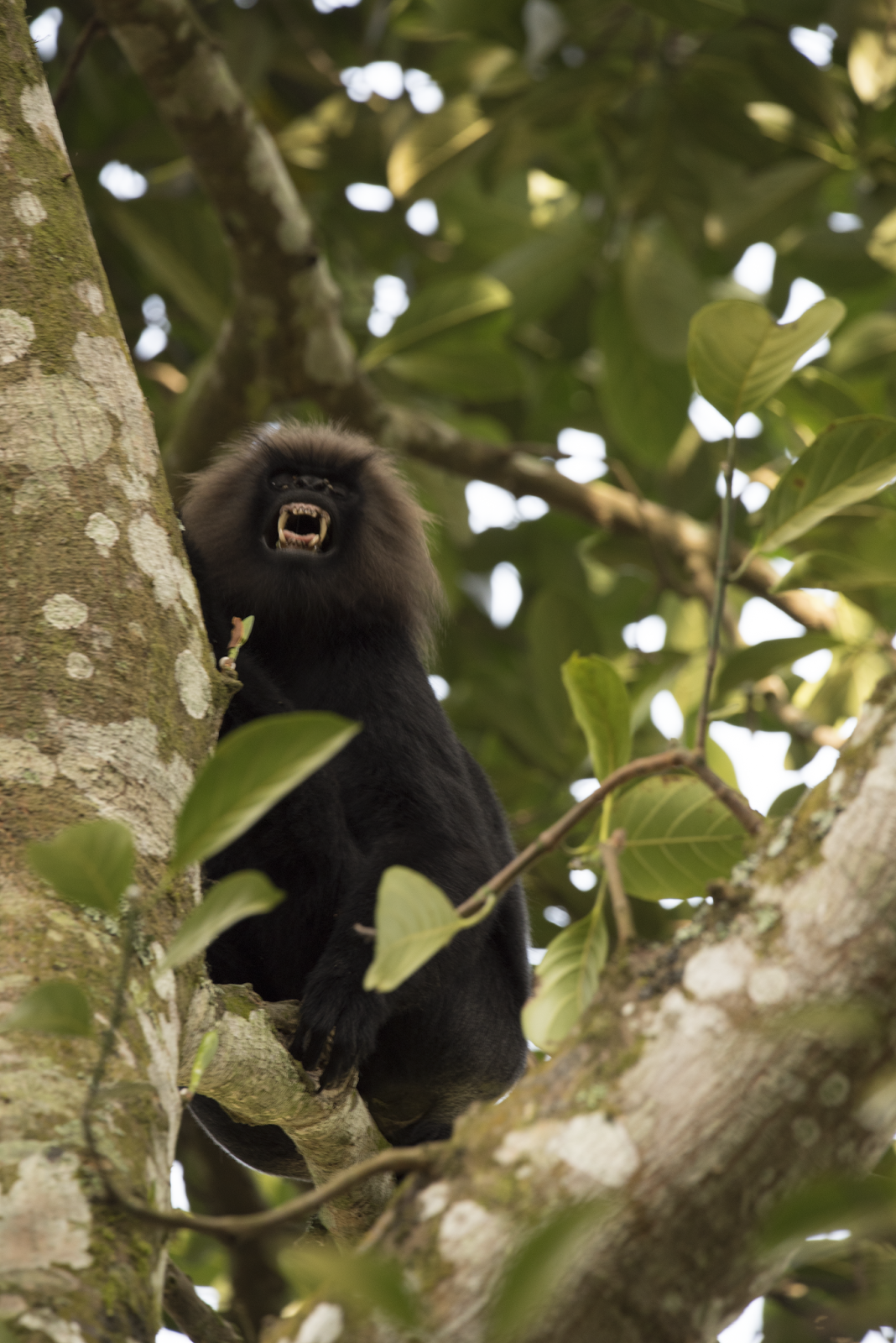 A Week In God's Own Country