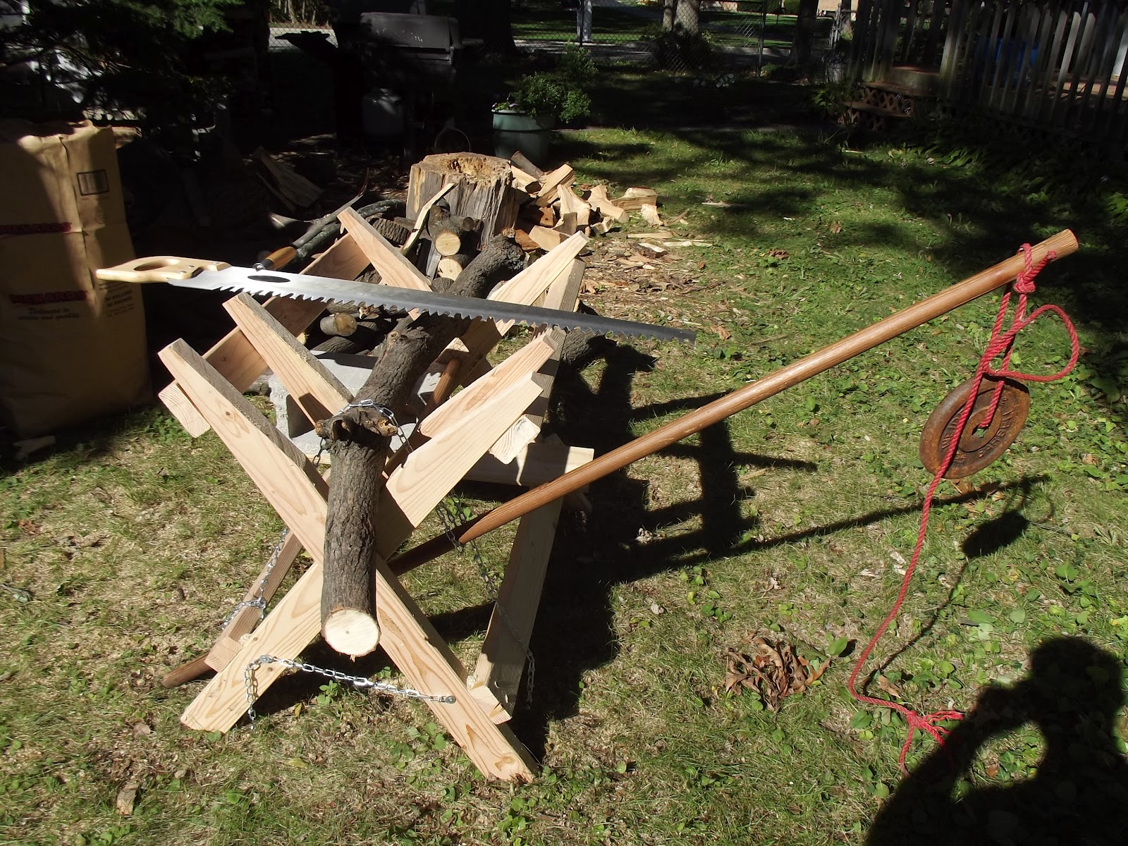 Virid Views: saw buck