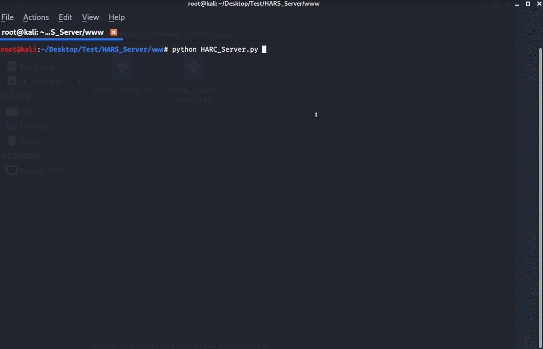 Asynchronous Reverse Shell Asynchronous Reverse Shell Using The Protocol