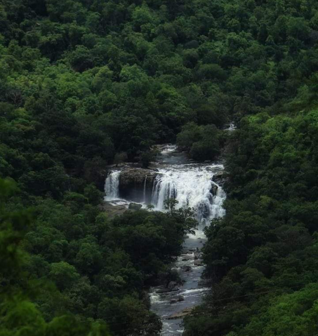 Athirappilly in Munnar