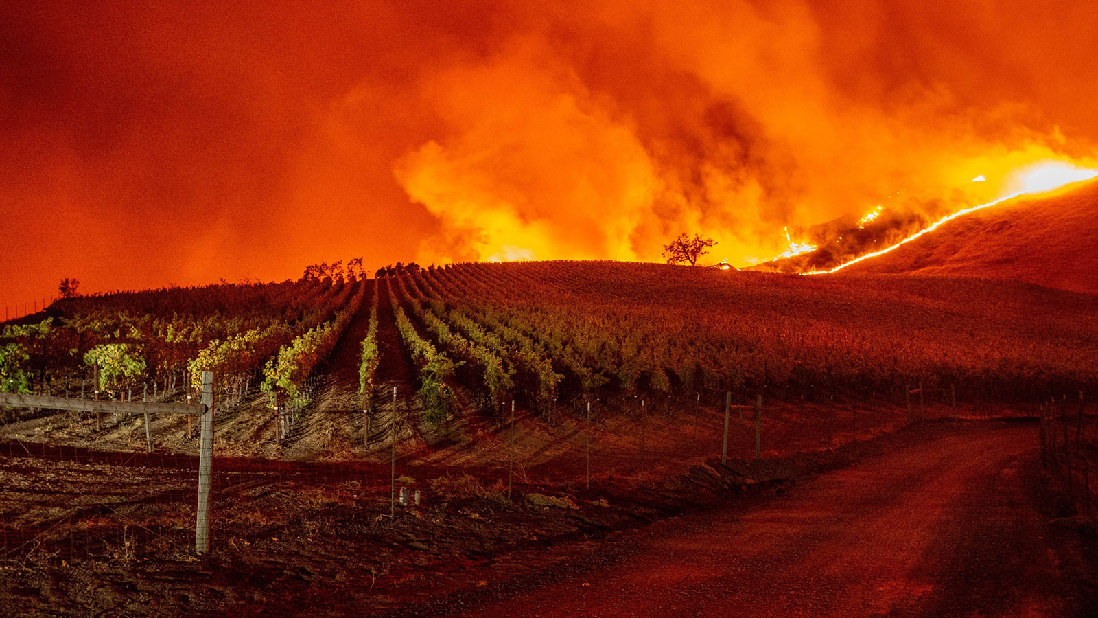The Big Wobble : Northern California's wine country was on fire again ... The Big Wobble : Northern California's wine country was on fire again ...