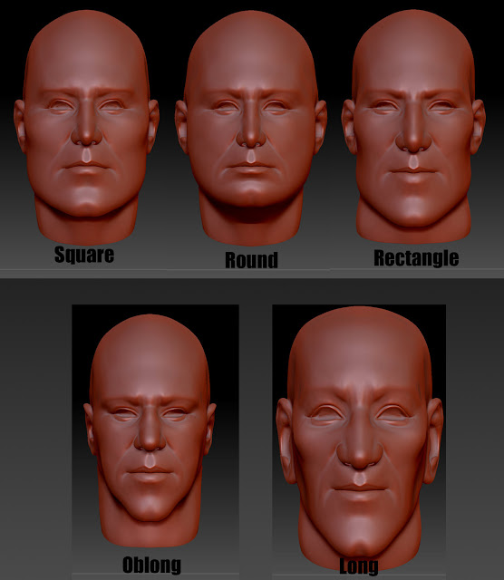 Ryan's Animation Portfolio: Basic Face Shapes