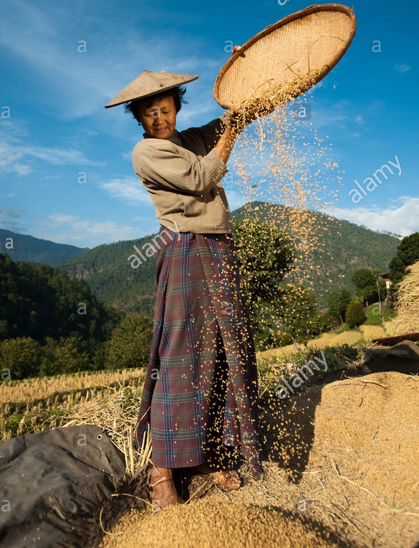 Rusty's Bio-zone: CROP PRODUCTION AND MANAGEMENT