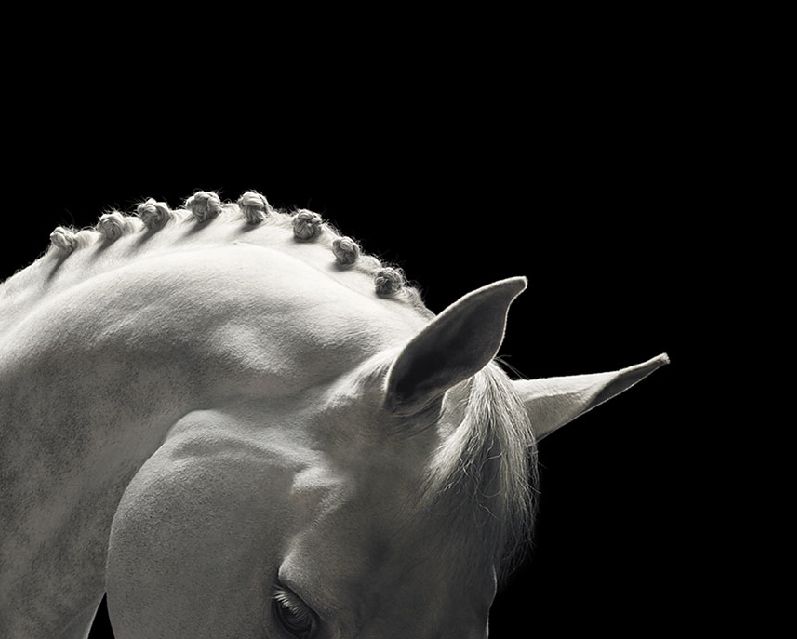 Have a Nice shot: Tim Flach